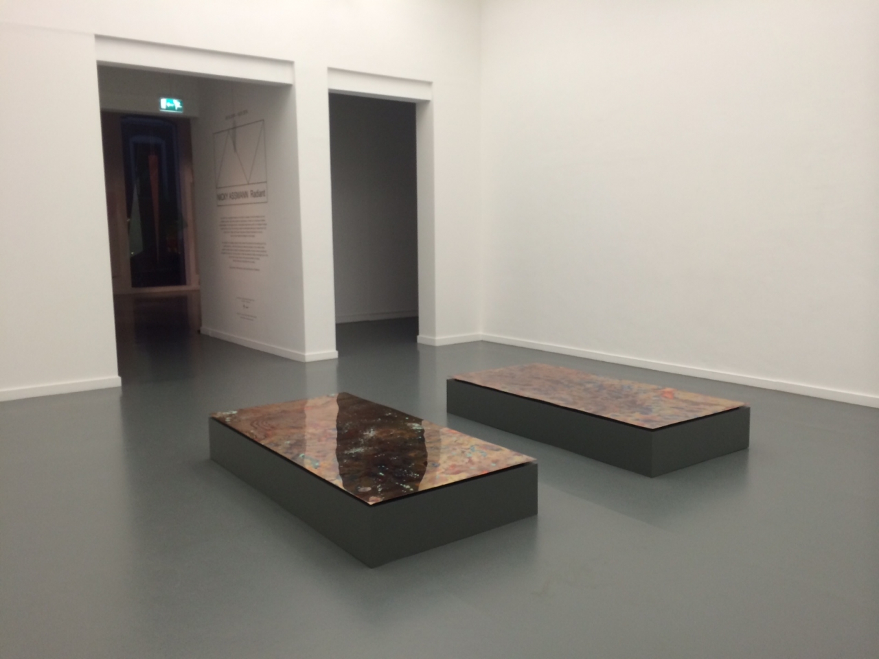 Nicky Assmann - RADIANT - Mister Motley